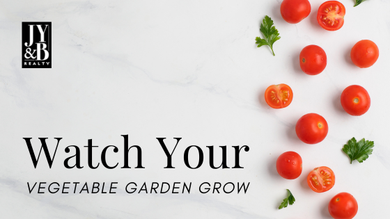 A Guide to Diverse Vegetable Gardening Styles | JYB Realty